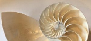 Home – Ending Vertigo Today