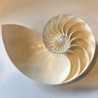 Vertigo, headaches and palpitations – Ending Vertigo Today